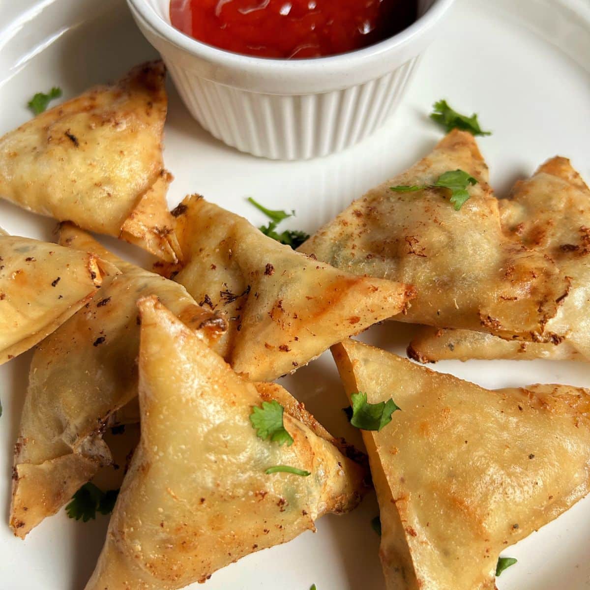 Easy Chicken Malai Boti Samosa – Step-by-Step Recipe